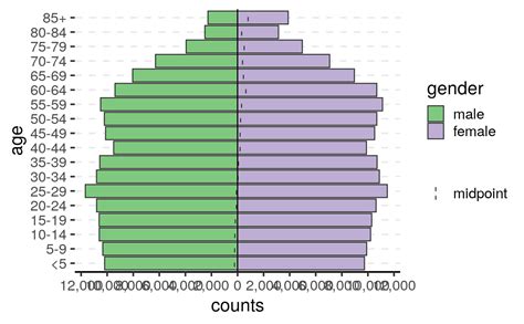 Plot A Population Pyramid Age Sex From A Dataframe — Age Pyramid Apyramid