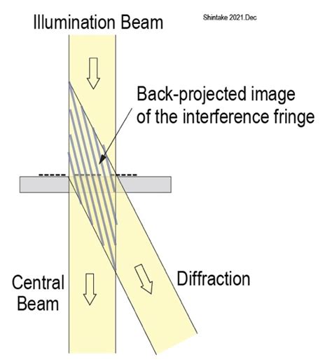 Back Projected Image Of The Interference Fringe Download Scientific