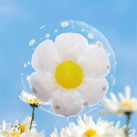 Daisy Bobo Balloon Pretty Party Shop