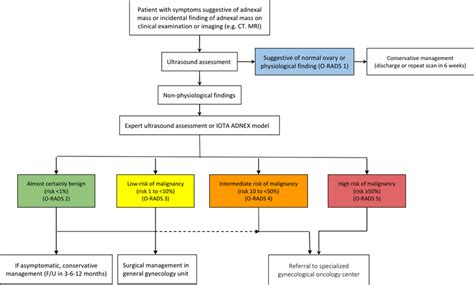 Flowchart Of Steps Recommended To Distinguish Between Benign And