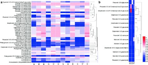 A The Hierarchical Clustering Analysis According To The Level Of Download Scientific Diagram