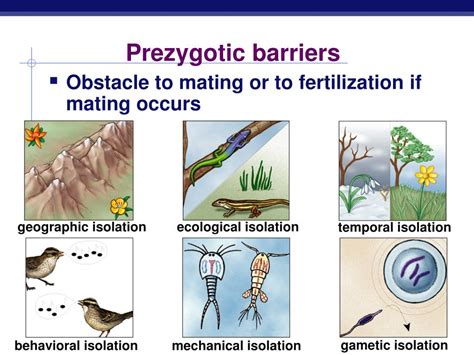 Ppt Speciation Powerpoint Presentation Free Download Id2647678