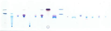 Ink Separation Through Ink Chromatography Questioned Documents