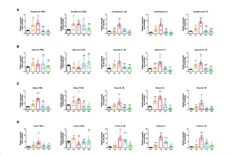 Inflammatory Cytokines Production Of Dss Induced Acute Enteritis A Download Scientific