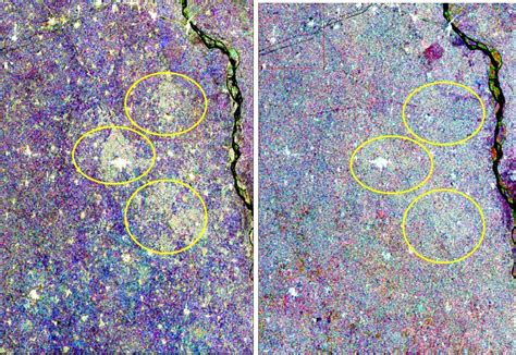 Risat 1a Eos 4 Data Based Applications For Orchard Monitoring