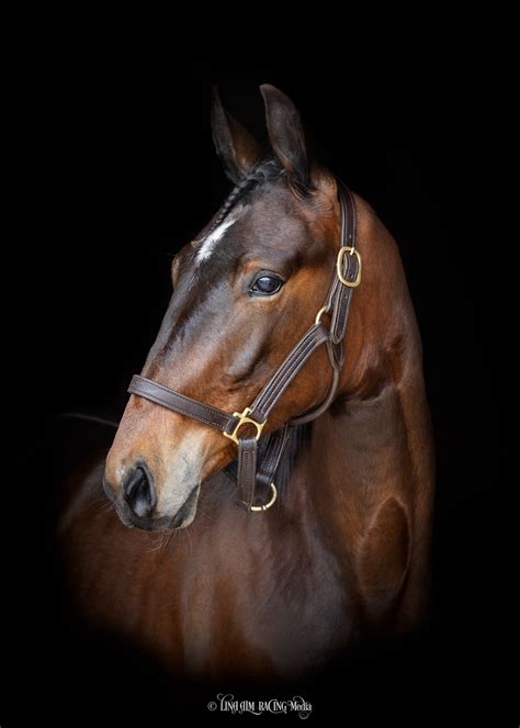 Henessi Defender Menhammar Onlinesales