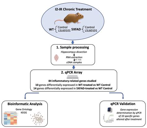 Experimental Design Of Sampling Processing Bioinformatic Analysis And