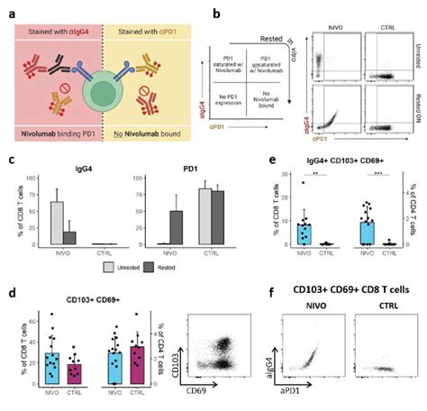 Intratumoral Detection Of Nivolumab And Tissue Resident T Cells A Download Scientific Diagram