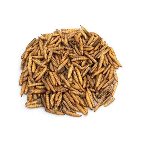 Dried Black Soldier Fly Larvae Dpatmealworm
