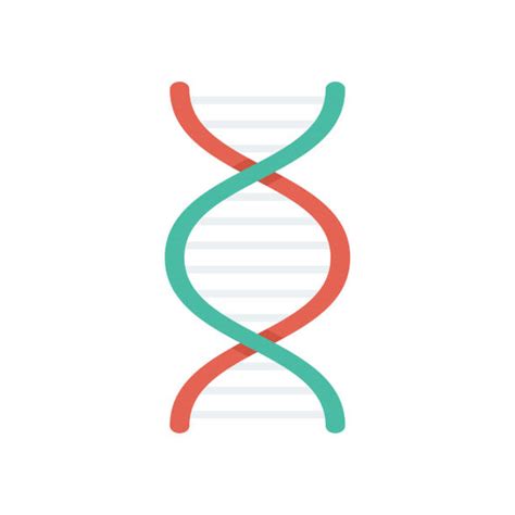 Chromosome Background Illustrations Royalty Free Vector Graphics