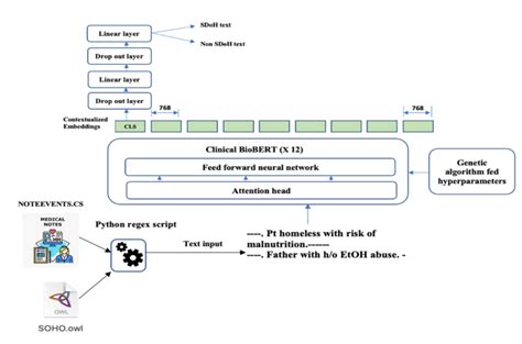 Model Architecture Of Clinical Biobert For Sdoh Text Classification