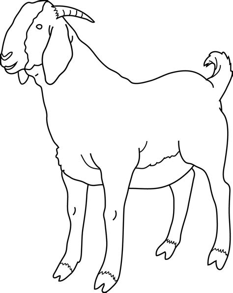 Goat Eating Grass Clipart Clip Art Library