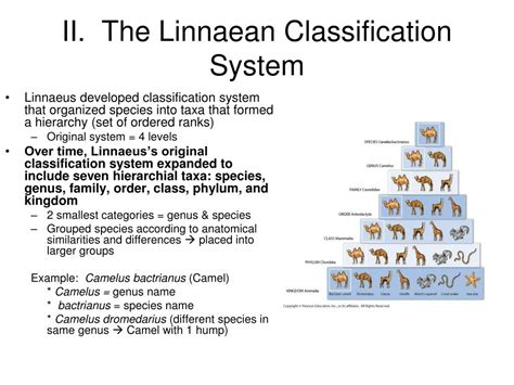 Ppt Chapter 18 Powerpoint Presentation Free Download Id1017708