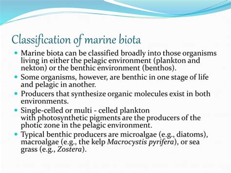 Zonations Of Sea And Ecological Classification Of Marine Biota Pptx Geography Science