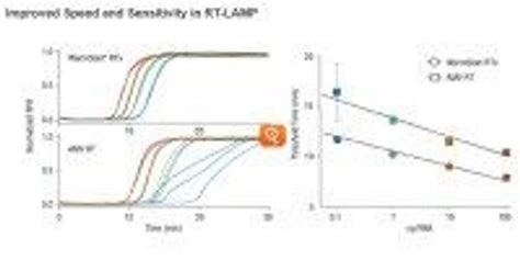 Thermostable Reverse Transcriptase At Room Temperature The Scientist