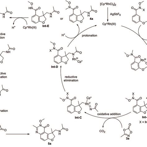 Substrate Scope Of Tandem Annulative Arylation Amidation Reaction Of