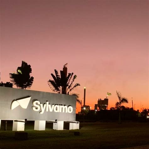 Sylvamo On Linkedin Theres Nothing Like A Sylvamo Sunset ☀️ 📸 Lucas Camillo Mogi