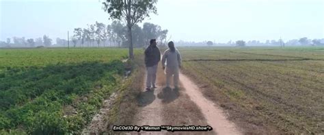 Jamraud 2021 Mp4 Share Files Online And Send Larges Files With Terabox