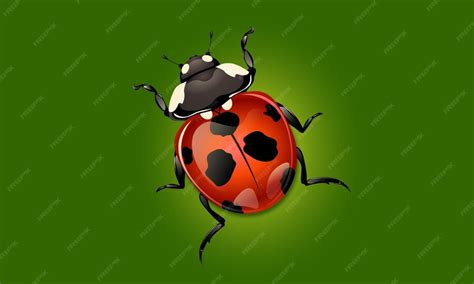 Premium Vector Graphic Design Of Ladybug On Green Backgroundsummer