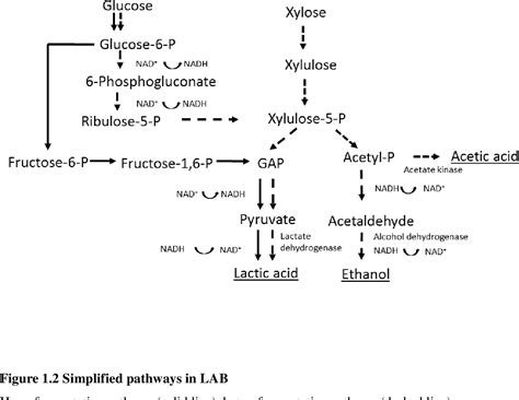 Figure 11 From Optically Pure D Lactic Acid Biosynthesis From