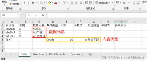 通过abap代码实现批导创建sap表结构数据元素域（se11bapi）abap Se11 Csdn博客