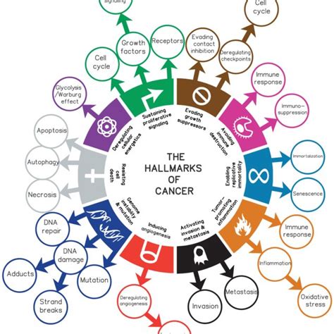 chat nlp pipeline intrinsic evaluation results download scientific