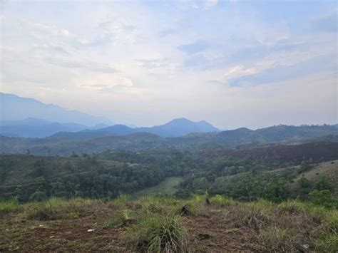 Devala Hatty Route Peaceful Vibes And Beautiful Tea Plantations Of Gudalur Trip Unplanned