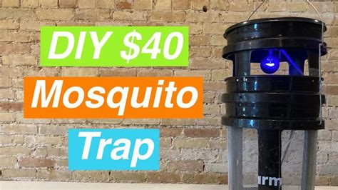 Diy Mosquito Trap To Keep Mosquitoes At Bay Blitsy
