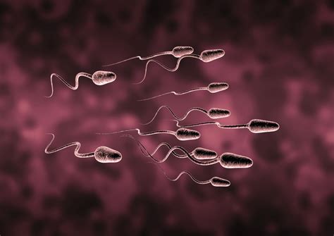 Sperm Abstraction Abstract Bokeh Life Sex Sexual Medical Dna