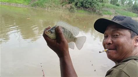 Sepot Nya Ellit😁ikan Nya Lit😱😱 Youtube