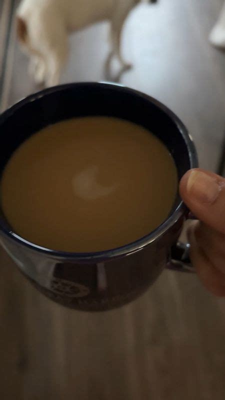 Trade Winds Lighting Tw90098 Mbk Curated On Ltk