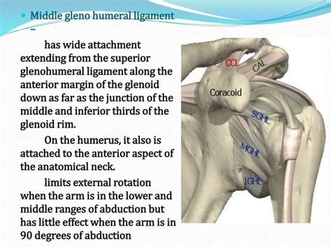 Recurrent Shoulder Dislocation Pptx