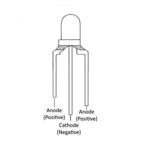 How To Identify The Cathode Of An Led At Elizabeth Wells Blog