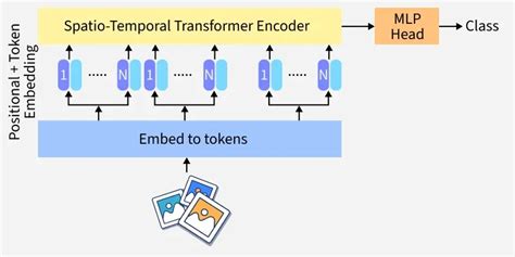 Video Vision Transformer Vivit Geeksforgeeks