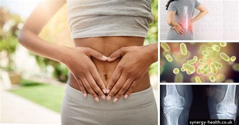 Gut Microbiome And Bone Health Synergy Uk