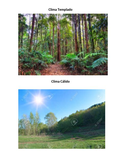 Clima Templado Pdf