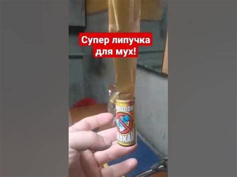 Мухи и супер липучка для мух🤔😏😜 - YouTube