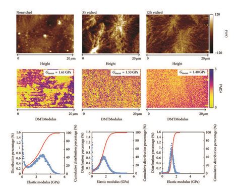 Topography Height Map Elastic Modulus Map And The Corresponding
