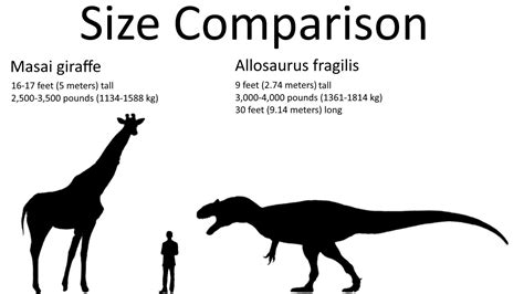 Allosaurus Size Comparison