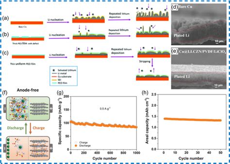 Schematic For Lithium Platingstripping A Li Deposition On A Bare