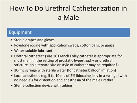 Urinary System Catheterization Procedure Pptx