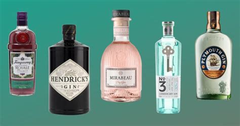 The 18 Best Gin Brands Ranked From Worst To Best Lets Eat Cake