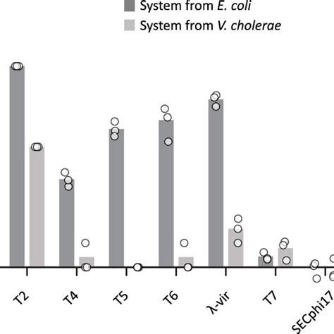The Bacterial Cbass Functions Through Abortive Infection A Growth