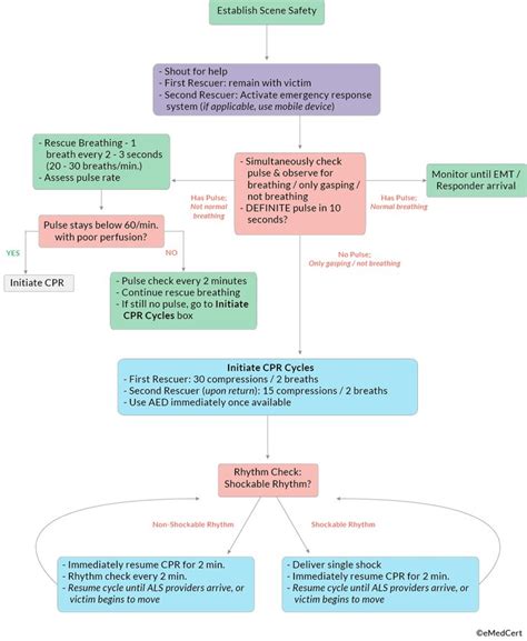 The Ultimate Bls Cheatsheet Emedcert Blog Basic Life Support