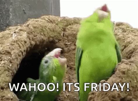 Funny Sliding Into Friday Like 