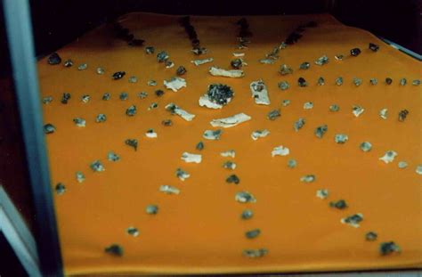 宣化上人舍利－－学佛网