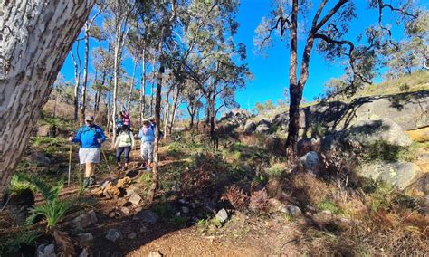 Perth Hills Guided Hike With Lunch And Wine 8 Hours Experience Oz