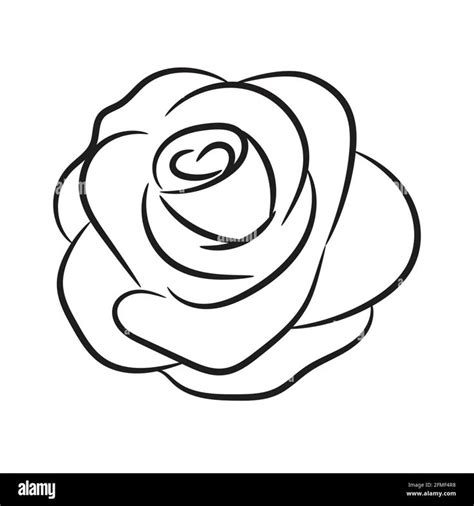 Rose Head Drawing At Zoe Szabados Blog