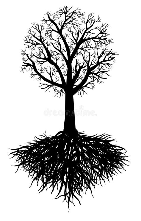 Bare Tree Silhouette Root Stock Illustrations 402 Bare Tree