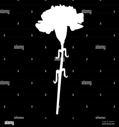 Carnation Icon Carnation Icon Stock Vector Image And Art Alamy